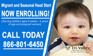 Tri-Valley Migrant and Seasonal Head Start Center Opens in Bethel – Tri ...